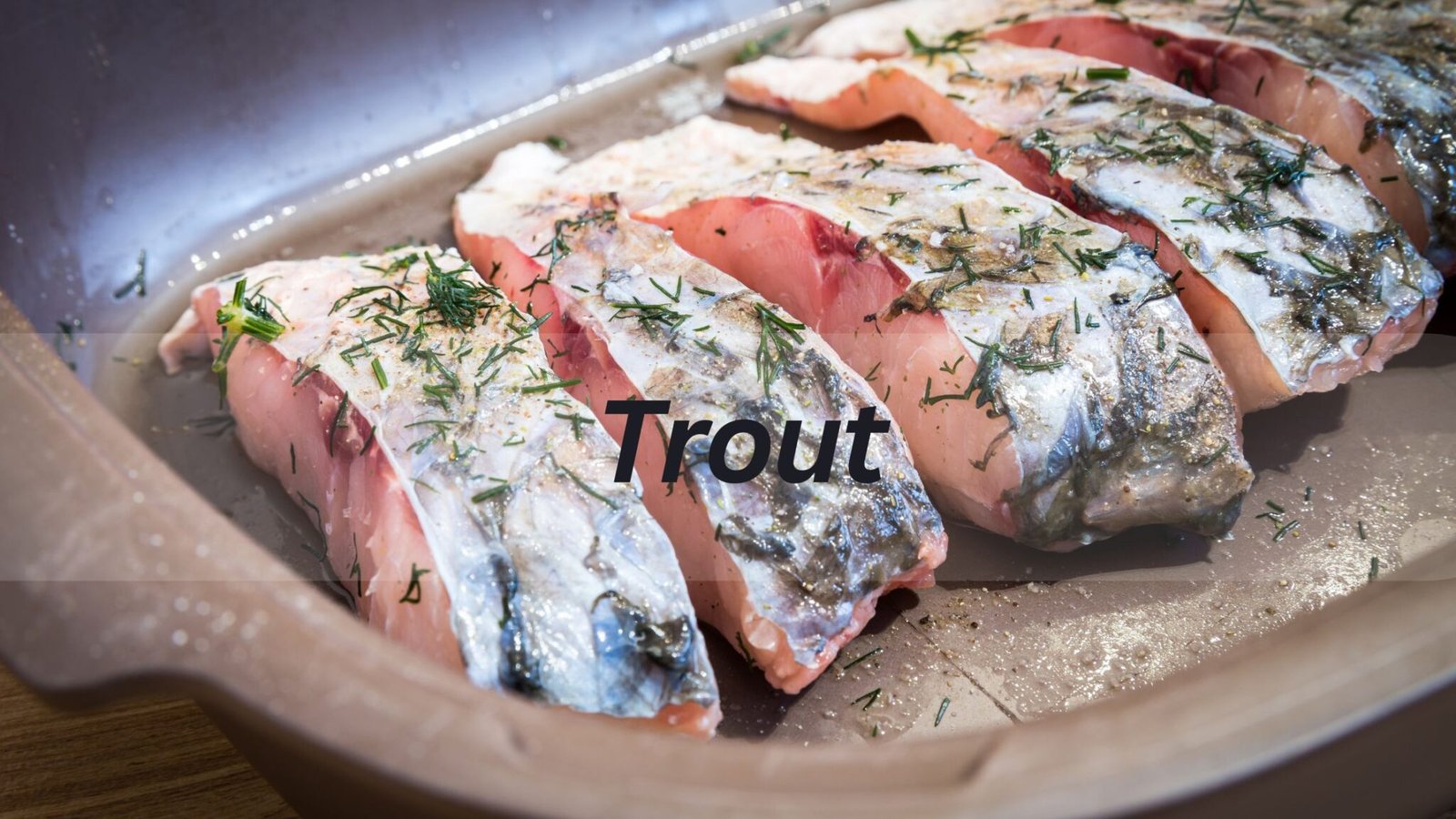 10 Healthy Fish to Eat Daily (Best Choice) - Jeelani Marine